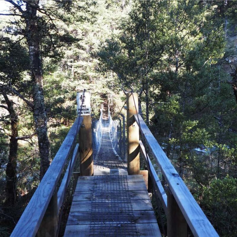 From Waikato: Kaimanawa Descent Heli-Hiking Adventure - The Sum Up: Is This Tour Worth It?