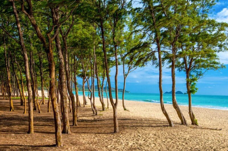 From Waikiki: Best of Oahu Photo Tour with Pickup - FAQ