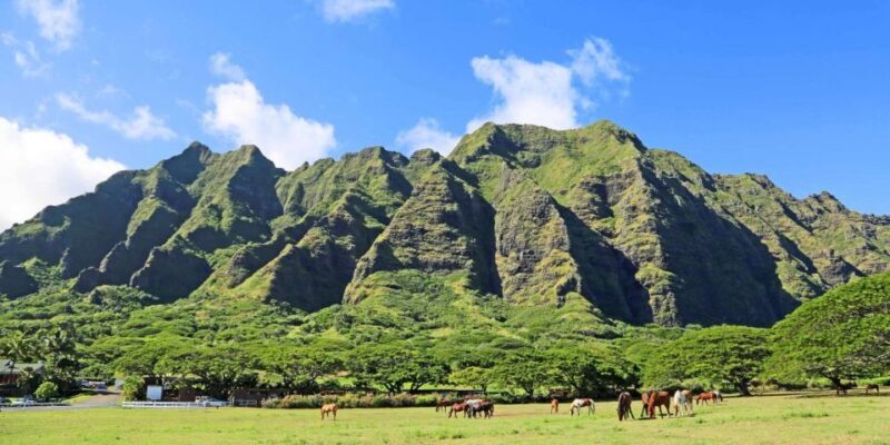 From Waikiki: Circle Island Tour - What Makes This Tour Worth Considering?