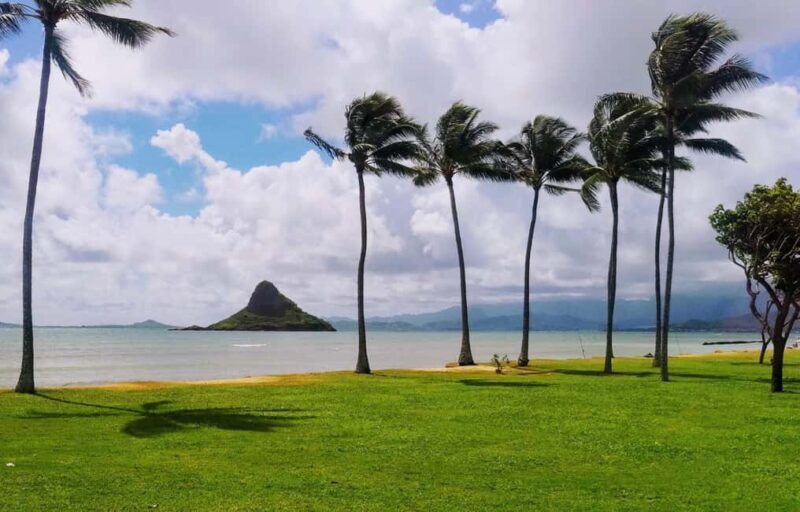 From Waikiki: Hawaii Grand Circle Island Tour - The Sum Up