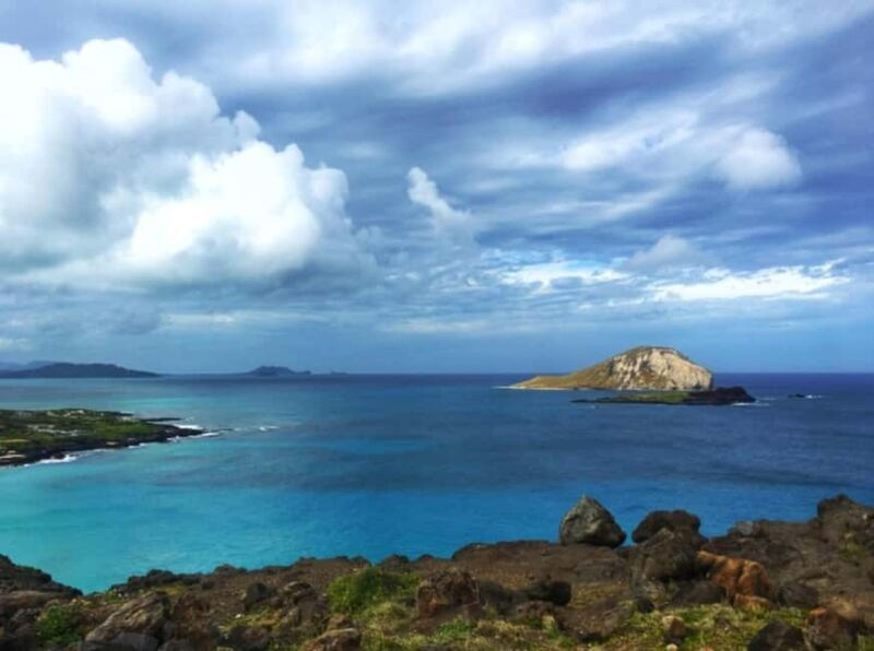 From Waikiki: Oahu Scenic Half-Day Circle Island Tour - The Itinerary in Detail