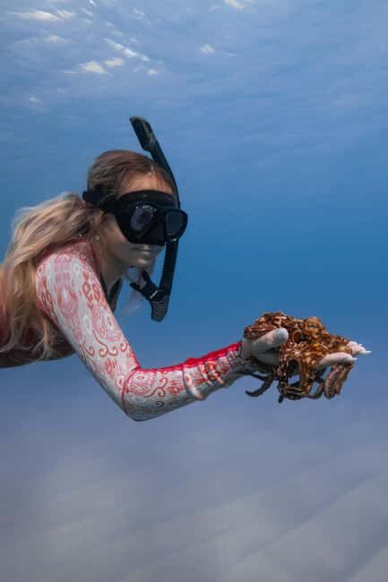 From Waikiki: Turtle Canyon Snorkeling Tour - Details That Matter