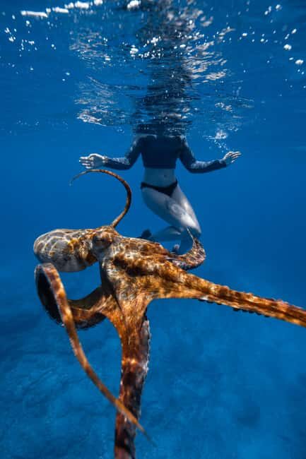 From Waikiki: Turtle Canyon Snorkeling Tour - The Bottom Line