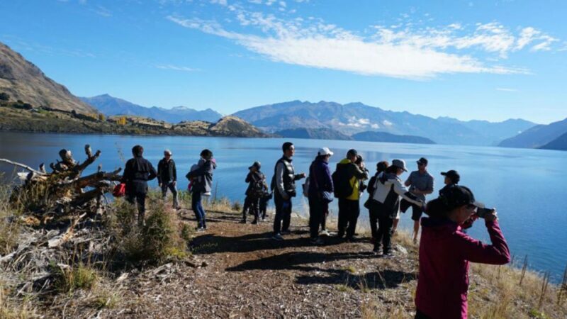 From Wanaka: Ruby Island 1-Hour Cruise and Photo Walk - Key Points