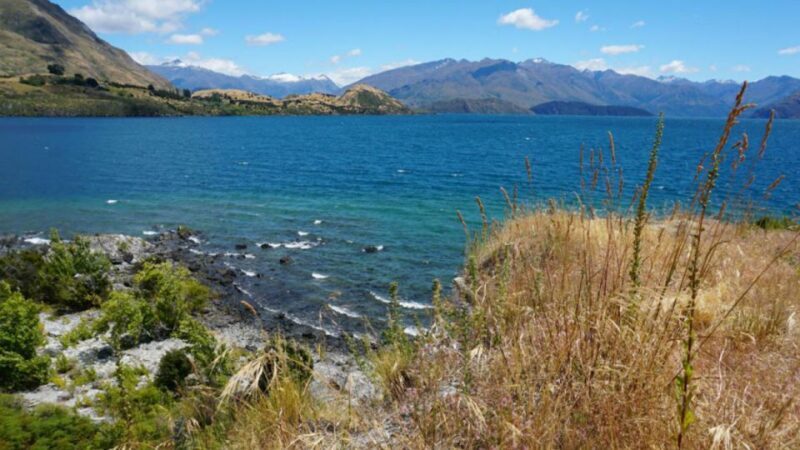 From Wanaka: Ruby Island 1-Hour Cruise and Photo Walk - Who Should Consider This Tour?