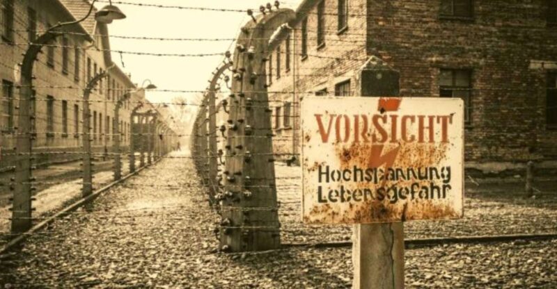 From Warsaw: Auschwitz-Birkenau Small Group Tour with Lunch - Why Choose This Tour?