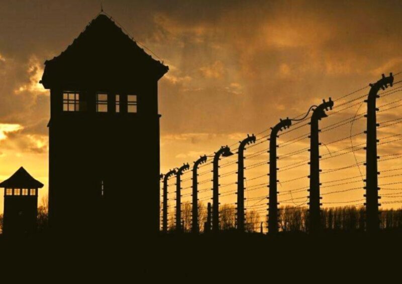From Warsaw: Auschwitz-Birkenau Small Group Tour with Lunch - Who Will Find This Tour Most Valuable?
