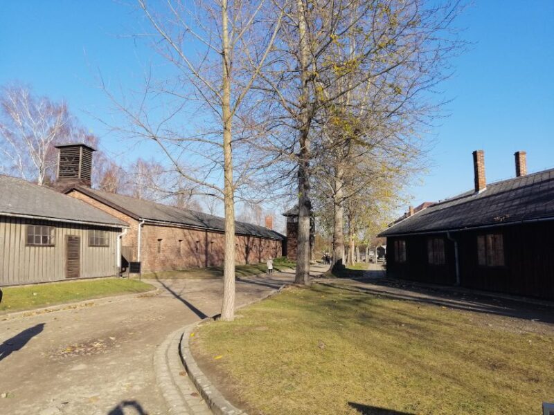 From Warsaw: Auschwitz-Birkenau Tour by Car - Key Points