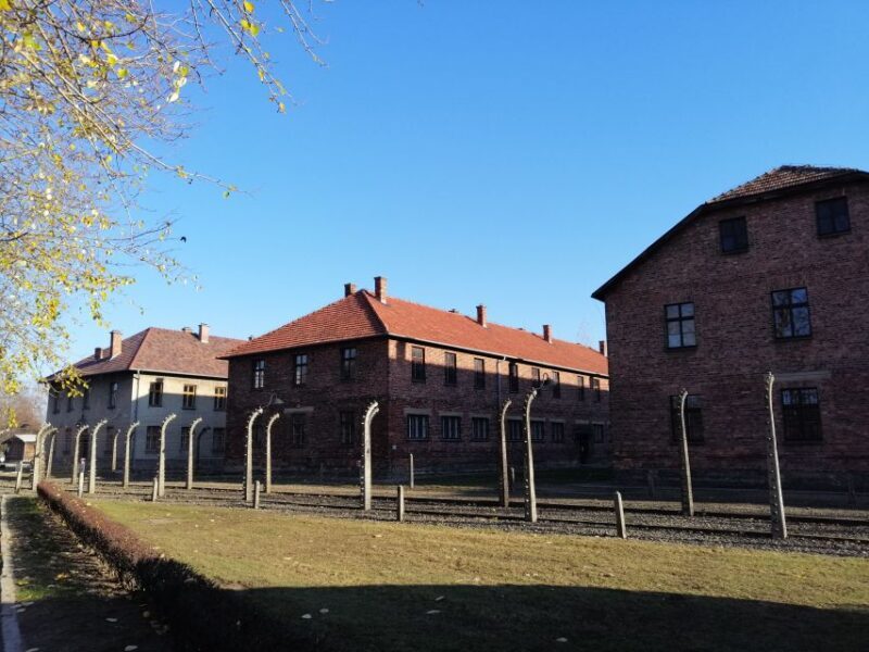 From Warsaw: Auschwitz-Birkenau Tour by Car - The Itinerary and What to Expect