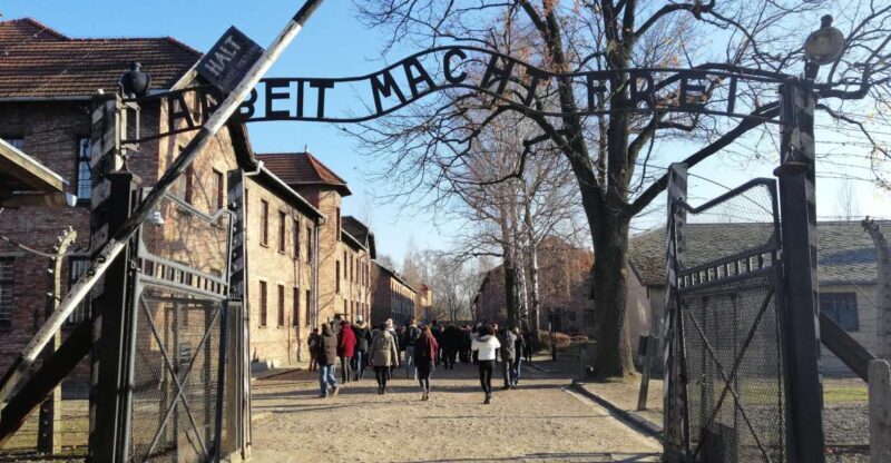 From Warsaw: Auschwitz-Birkenau Tour by Car - The Sum Up