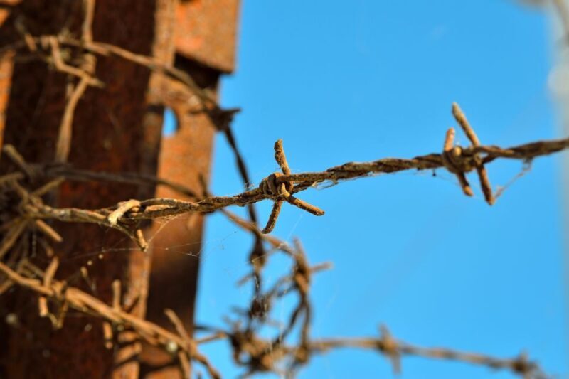 From Warsaw: Auschwitz-Birkenau Tour by Car - FAQ