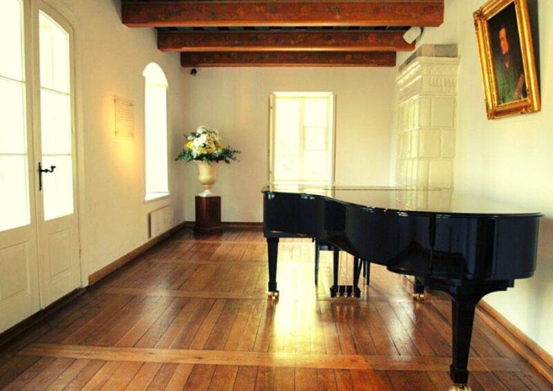 From Warsaw: Chopin & Masovian Country 1-Day Tour with Lunch - Zelazowa Wola: The Birthplace of Frederic Chopin
