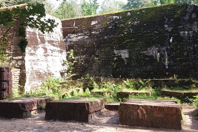 From Warsaw day tour to Wolf's Lair, Hitler's HQ by car - What the Tour Includes
