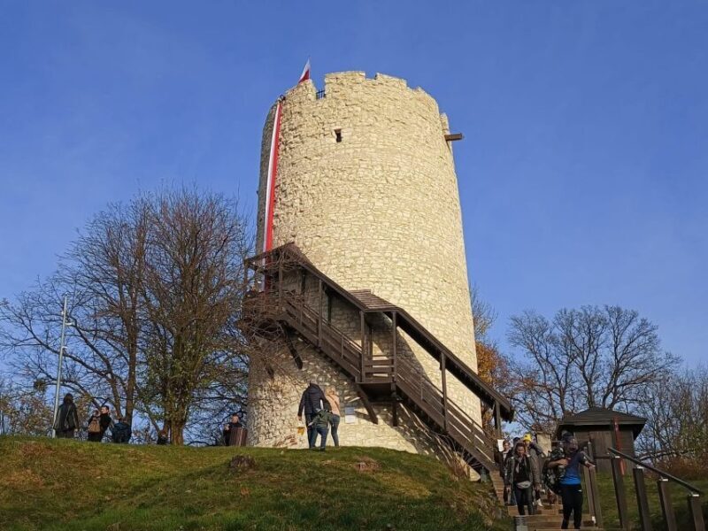 From Warsaw: Kazimierz Dolny Art Town Full-Day Private Tour - Who Should Book This Tour?