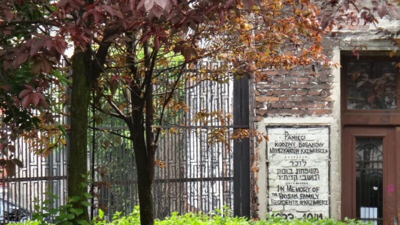 From Warsaw: Krakow Guided Private Tour with Transport - Practical Tips