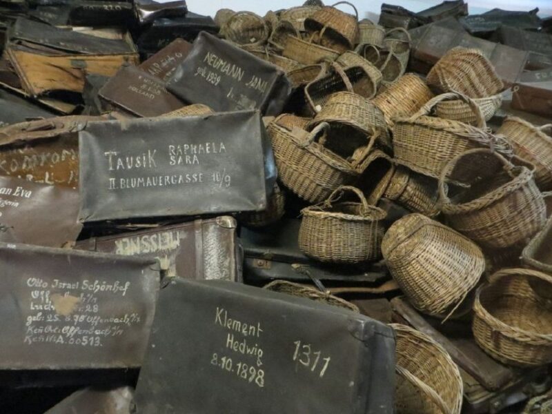 From Warsaw: Shared guided tour to Auschwitz-Birkenau - Who Will Appreciate This Tour?