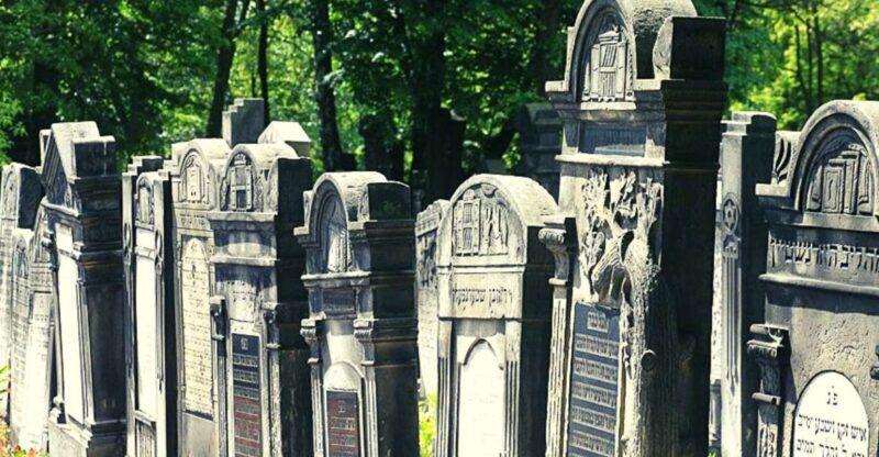 From Warsaw: Small-Group Tour to Lodz with Lunch - Who Will Appreciate This Tour?