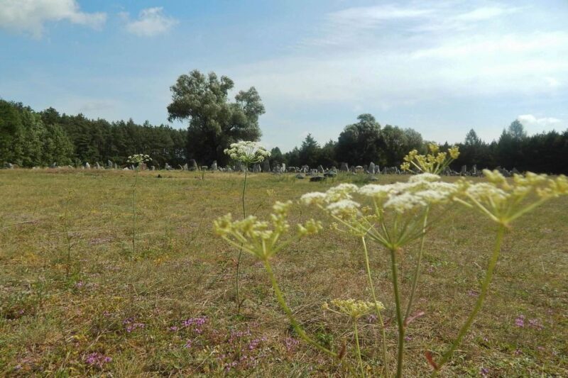 From Warsaw: Treblinka Half-Day Private Tour with Car - FAQ