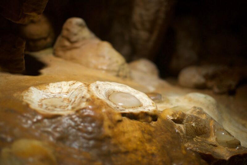 From Washington DC: Day Trip to Luray Caverns - A Natural Wonder with Educational Flair