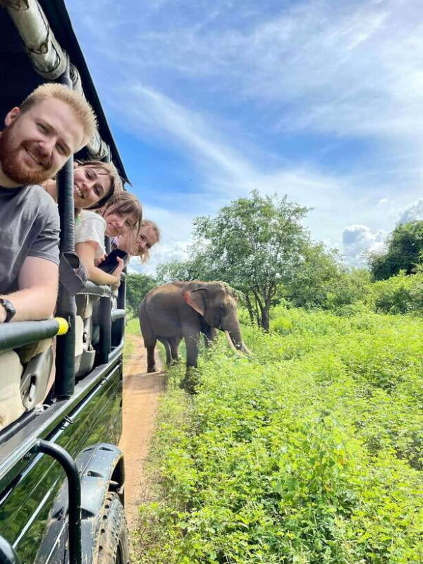 From Weligama : Udawalawa National Park Safari Tour - Who Should Consider This Tour?