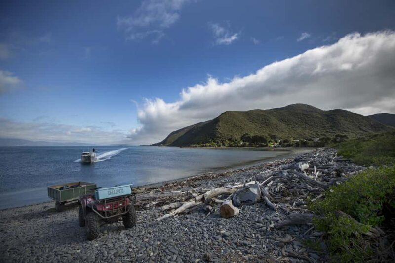 From Wellington: Kapiti Island Classic Guided Day Tour - Key Points