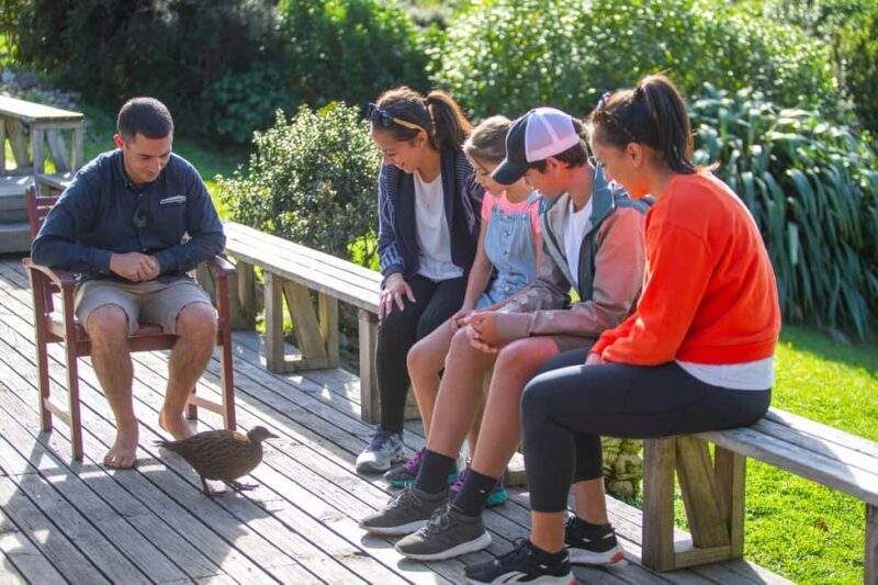 From Wellington: Kapiti Island Classic Guided Day Tour - The Itinerary and What Makes It Special