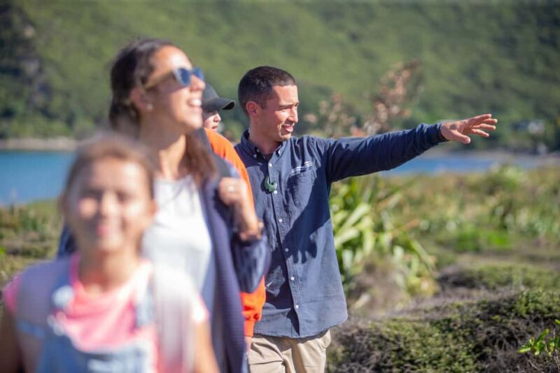 From Wellington: Kapiti Island Classic Guided Day Tour - What Travelers Love (Based on Reviews)