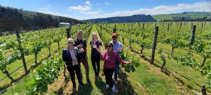 From Wellington: Martinborough Winery Tour - Authenticity and Traveler Insights from Reviews