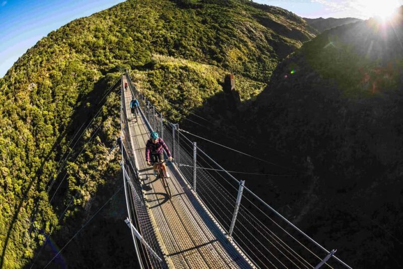 From Wellington: Remutaka Rail Trail eBike Tour - Real-Life Insights from Past Participants