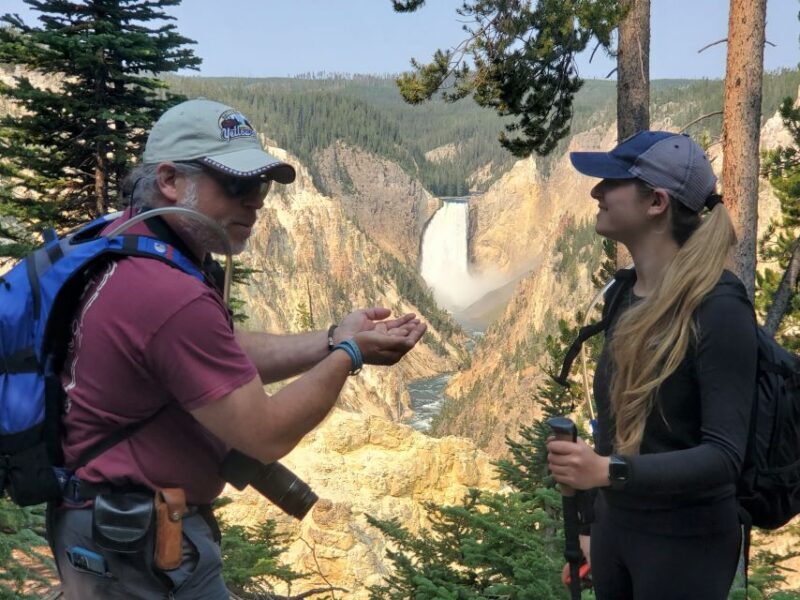 From West Yellowstone: Lower Loop Active Van Tour - The Sum Up