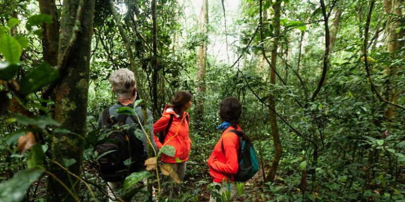 From Western Province: 2-Day Hill Country Highlights Trip - Authentic Traveler Feedback