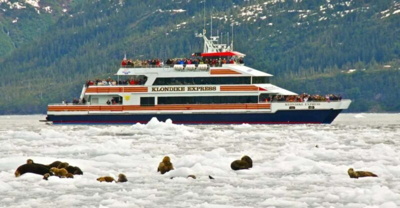 From Whittier/Anchorage: Prince William Sound Glacier Cruise - Frequently Asked Questions