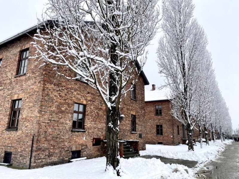 From Wrocaw: Full-Day Auschwitz-Birkenau Guided Tour - The Experience and Its Value