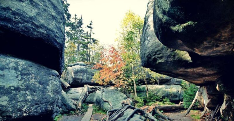 From Wroclaw: Full-Day Stolowe Mountains Trekking Tour - Authentic Comments from Travelers