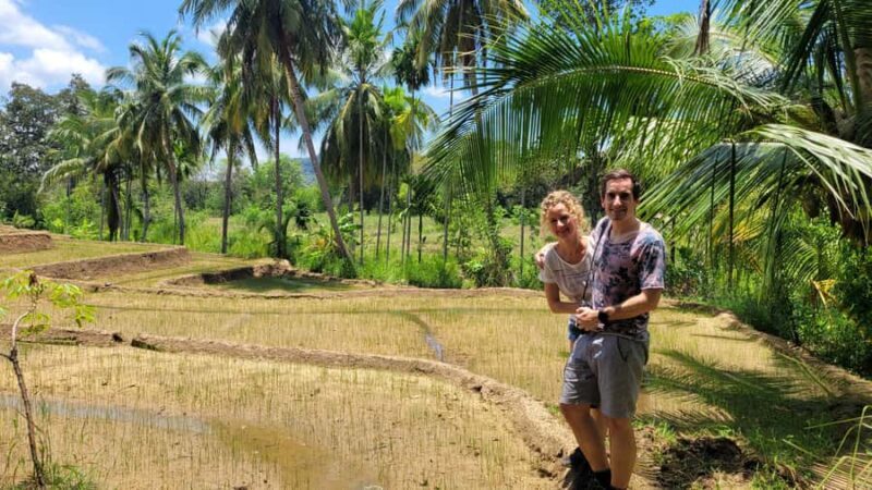 From Yala: Private Transfer to Ella with Etili Village Tour - Who Will Love This Tour?