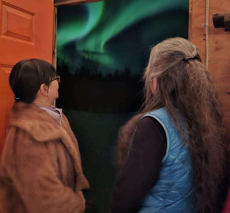 From Yellowknife: Aurora Borealis Tour with Cozy Cabin Base - Value and Overall Experience