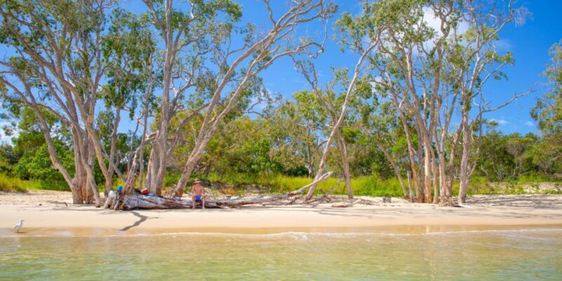 From Yeppoon: Great Keppel Island Snorkeling Hire with Lunch - The Sum Up