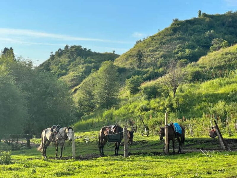 From Yining: Wusun Ancient Trail and Silk Road 7-Day Trek - Exploring the Wusun Ancient Trail: A 7-Day Trek Through Chinas Tianshan Mountains