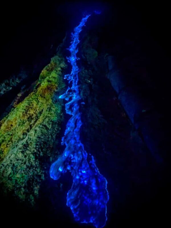 FROM YOGYAKARTA: 3D2N BROMO & IJEN VOLCANO - Authentic Experiences and Local Insights