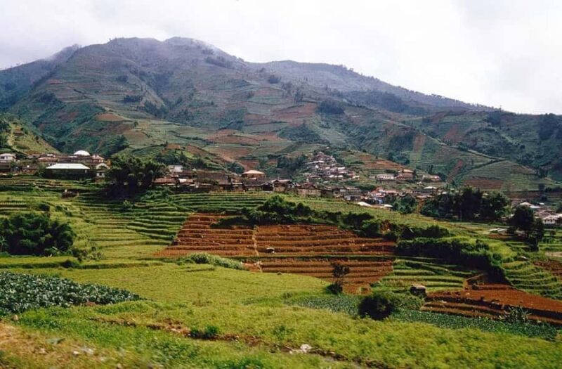 From Yogyakarta : Dieng Plateau Fullday Tour - Authenticity and Experience Level