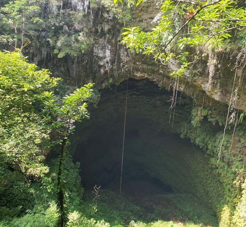 From Yogyakarta: Explore Jomblang Cave - Key Points