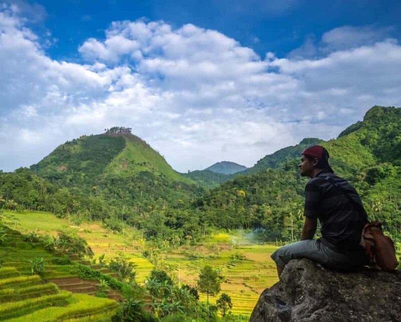 From Yogyakarta: Hidden Waterfall & Selogriyo Rice Terraces - A Day Trip into Java’s Natural Beauty