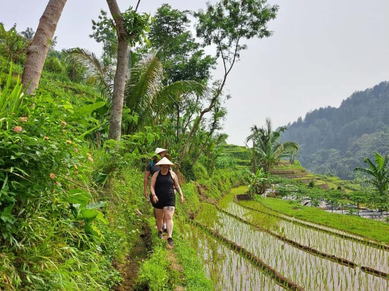 From Yogyakarta: Hidden Waterfall & Selogriyo Rice Terraces - Who Should Join This Tour?