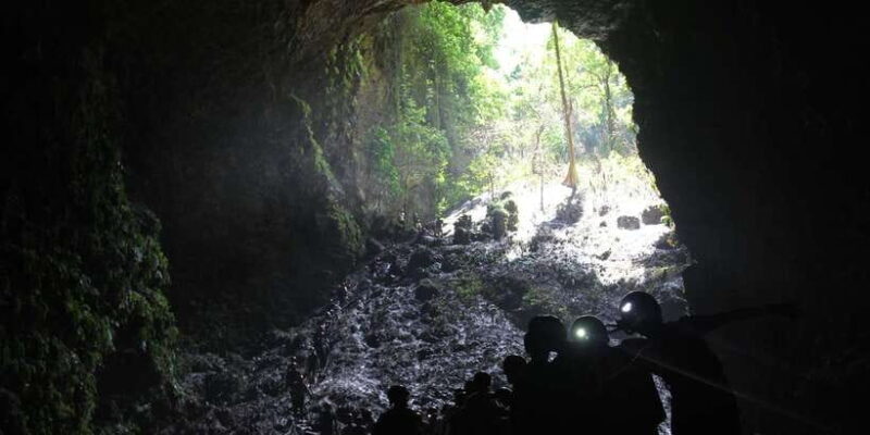 From Yogyakarta: Jomblang Cave Day Tour No Hidden Cost - Authentic Feedback & What Travelers Love