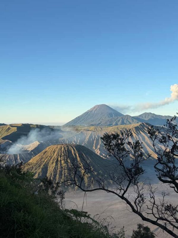 From Yogyakarta: Mount Bromo & Ijen Crater Tour with Train - The Experience and Its Value