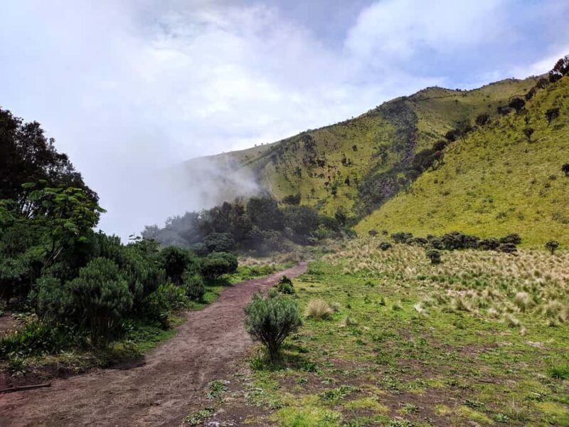 From Yogyakarta: Mount Merbabu One Day Hiking Tour - Who Is This Tour Best For?