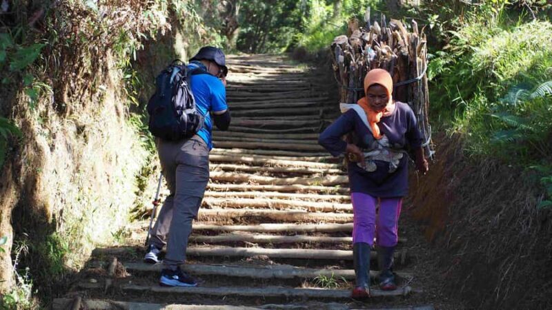 From Yogyakarta: Mount Sumbing Day Hike Via Nepal Van Java - Who Is This Tour Best For?
