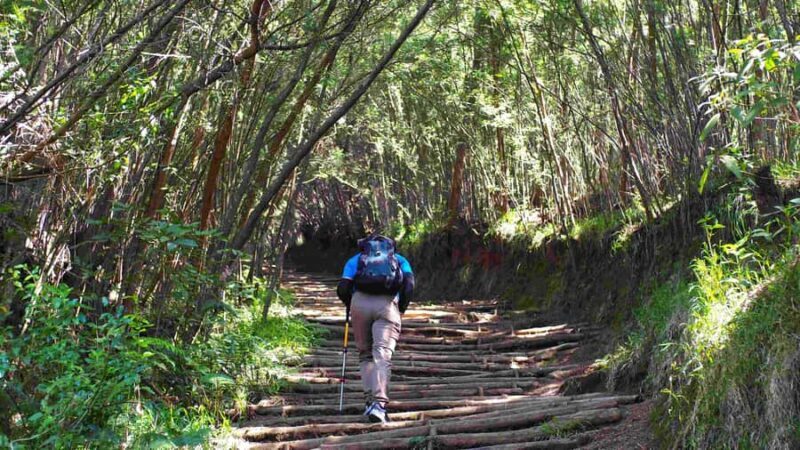 From Yogyakarta: Mount Sumbing Day Hike Via Nepal Van Java - FAQ