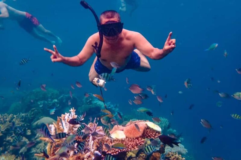 From Yogyakarta: Private 3-Day Karimunjawa Island Tour - An Introduction to the 3-Day Karimunjawa Tour