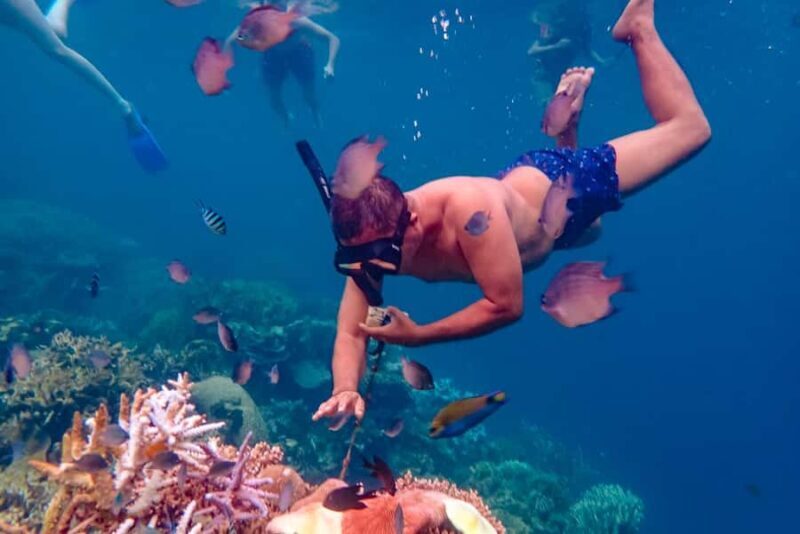 From Yogyakarta: Private 3-Day Karimunjawa Island Tour - The Itinerary Breakdown: What You’ll Experience